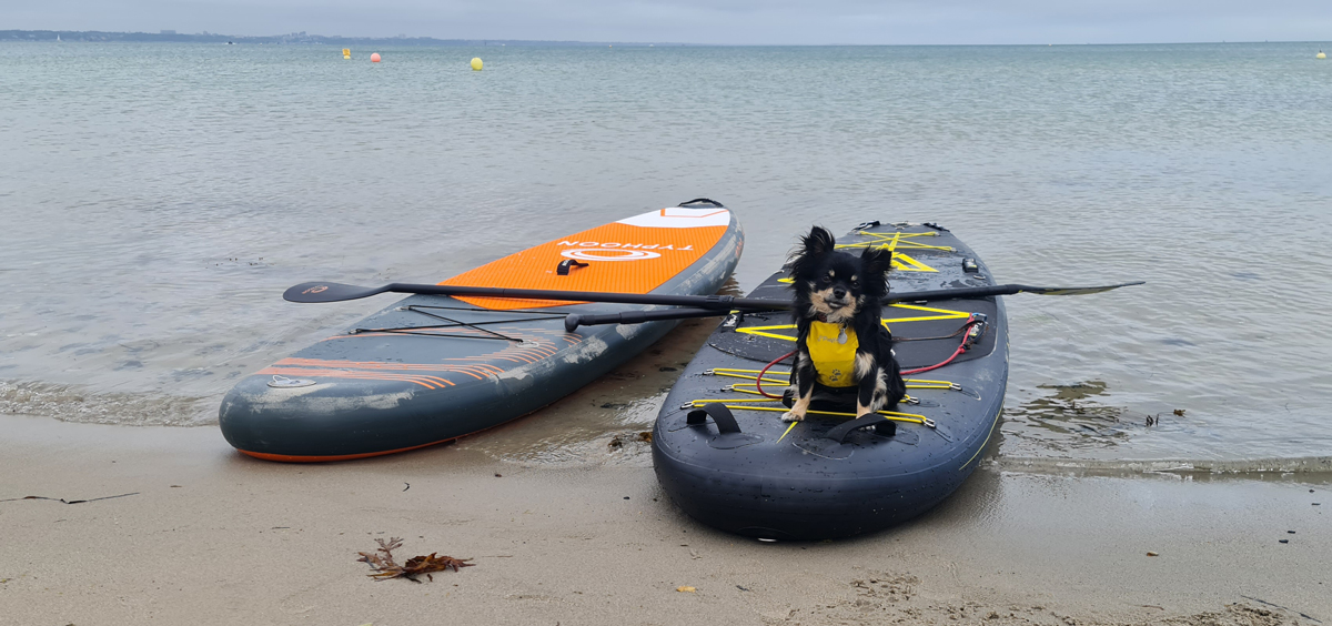 We tested & reviewed best paddle boards for beginners
