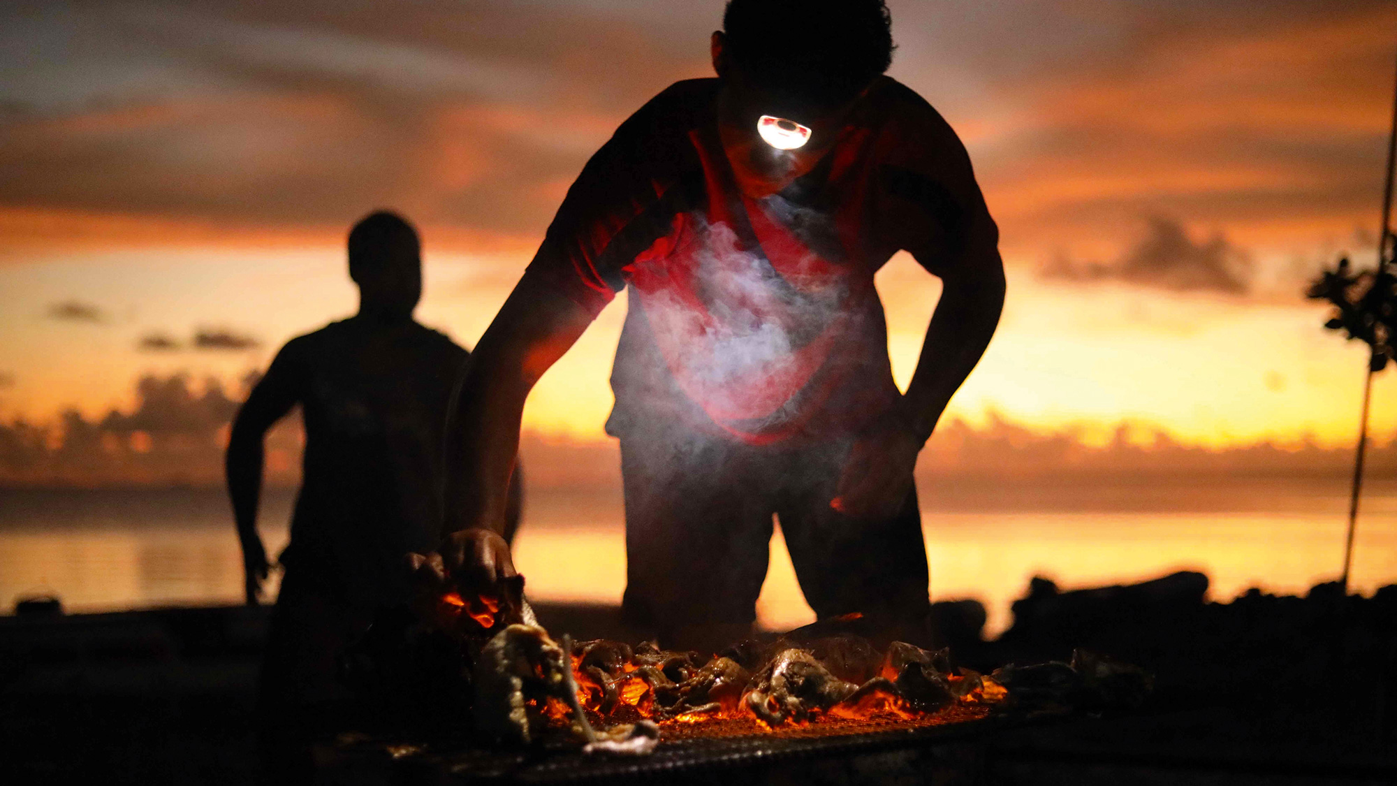 From the ocean to the plate: The art of foraging and fishing in the ...