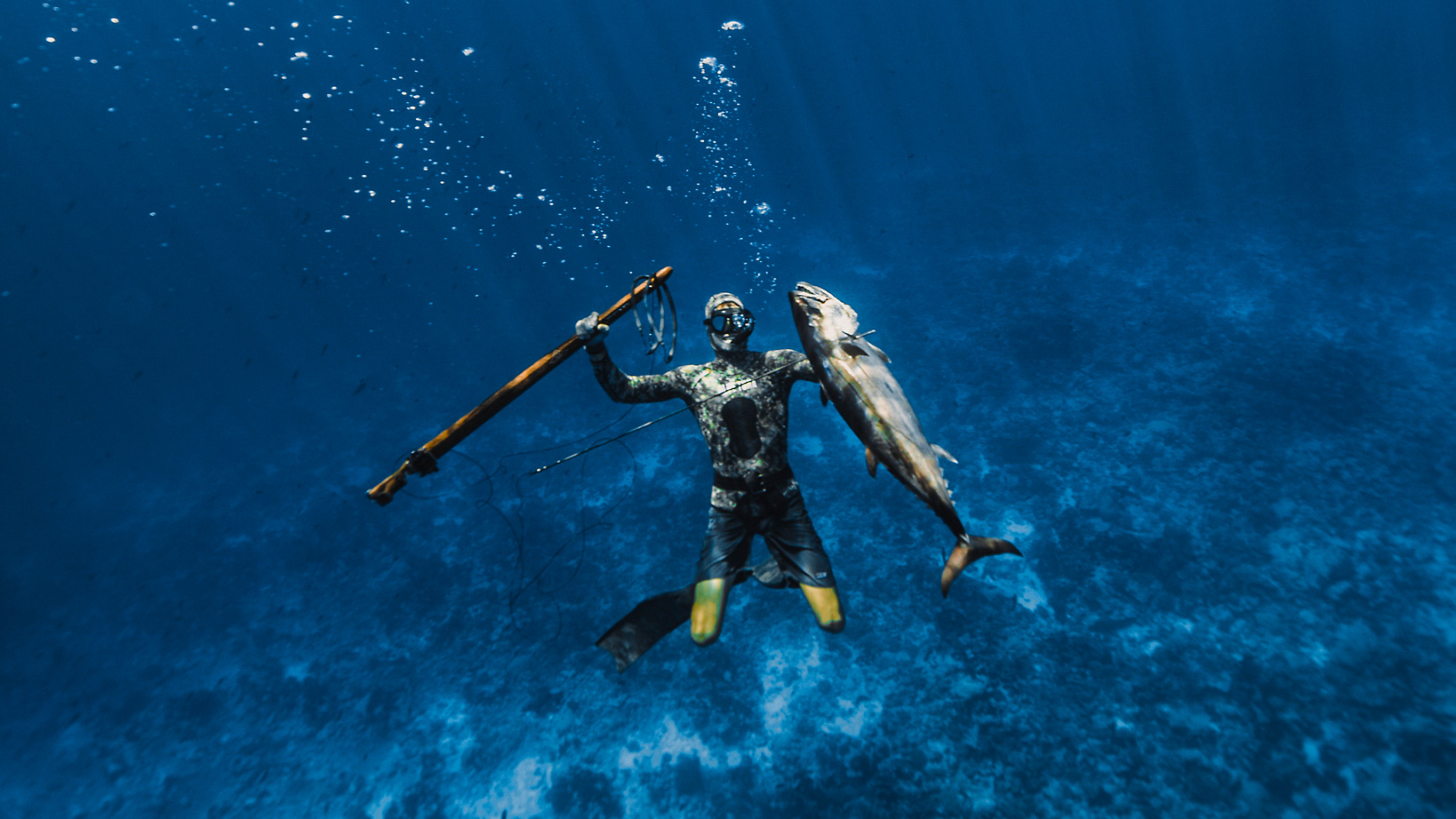 From the ocean to the plate: The art of foraging and fishing in the ...