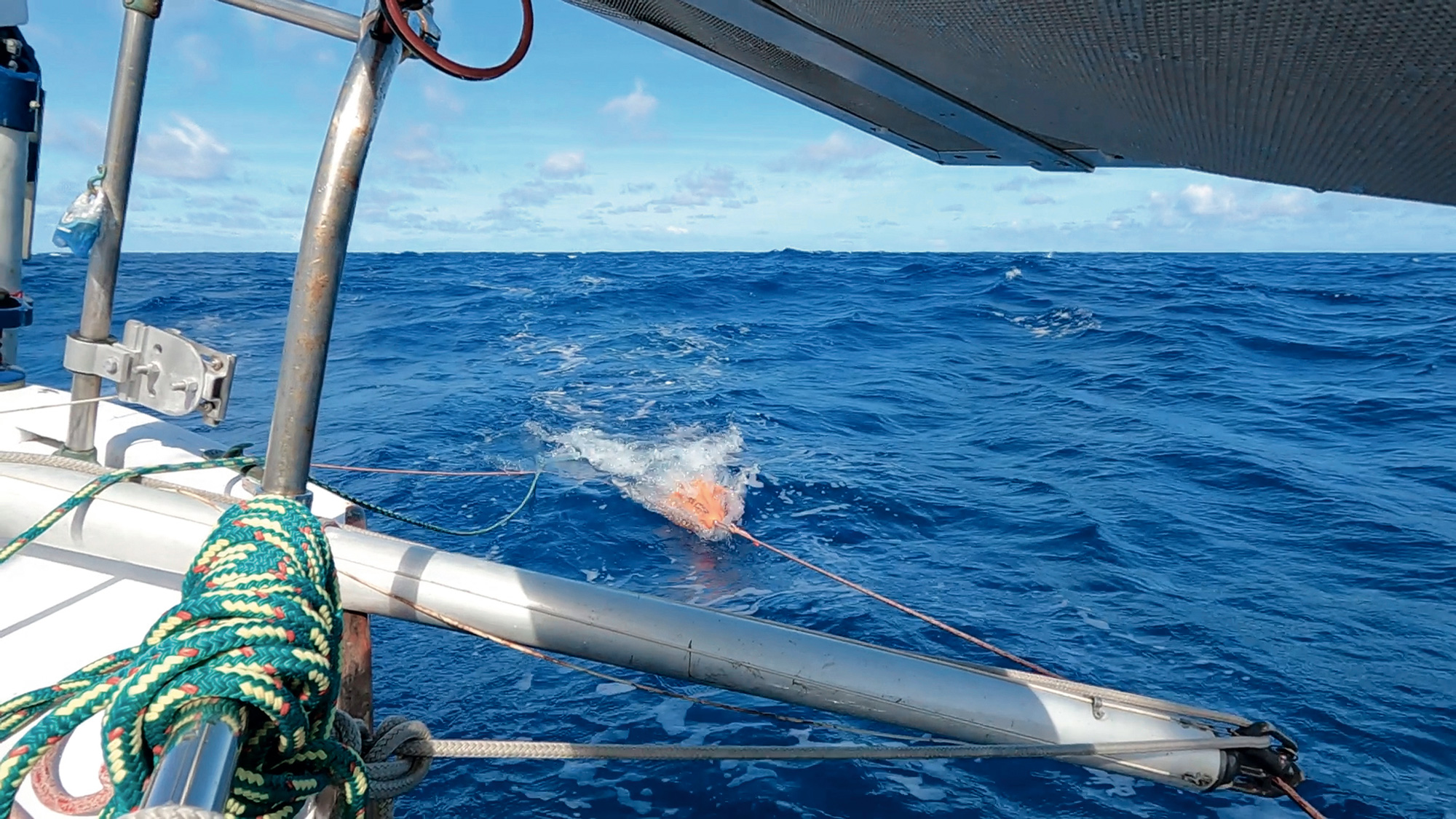 Adrift in the Pacific: One sailor’s incredible story of survival ...
