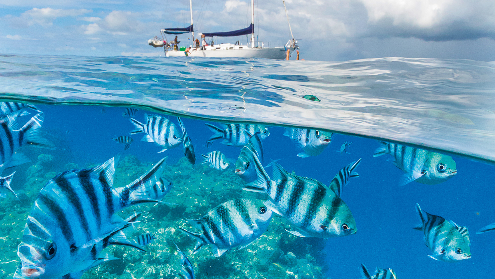 What you need to know to sail across the Pacific - Yachting World