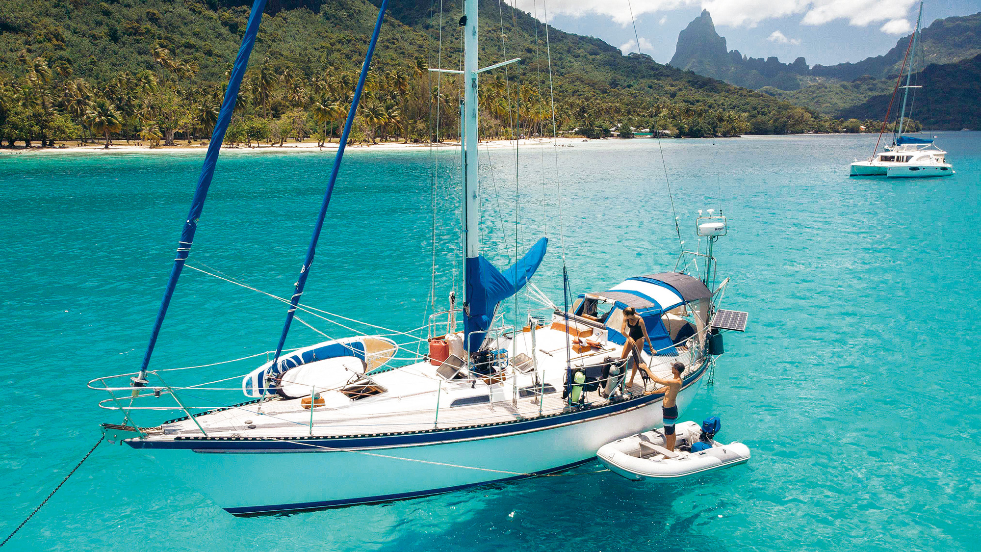 Swimming with humpback whales - Yachting World