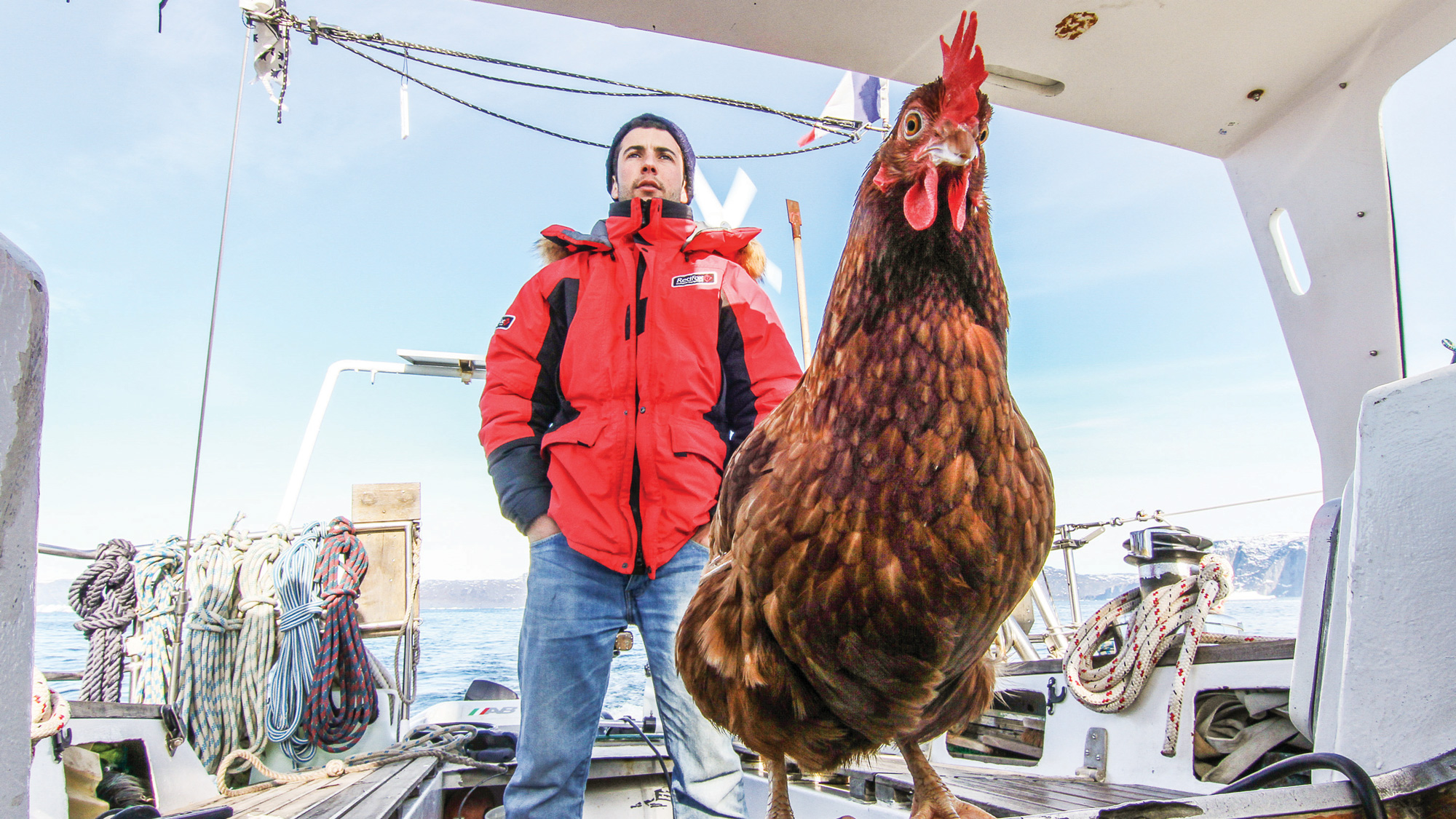 When a sailor and a chicken took on an incredible voyage - Yachting World
