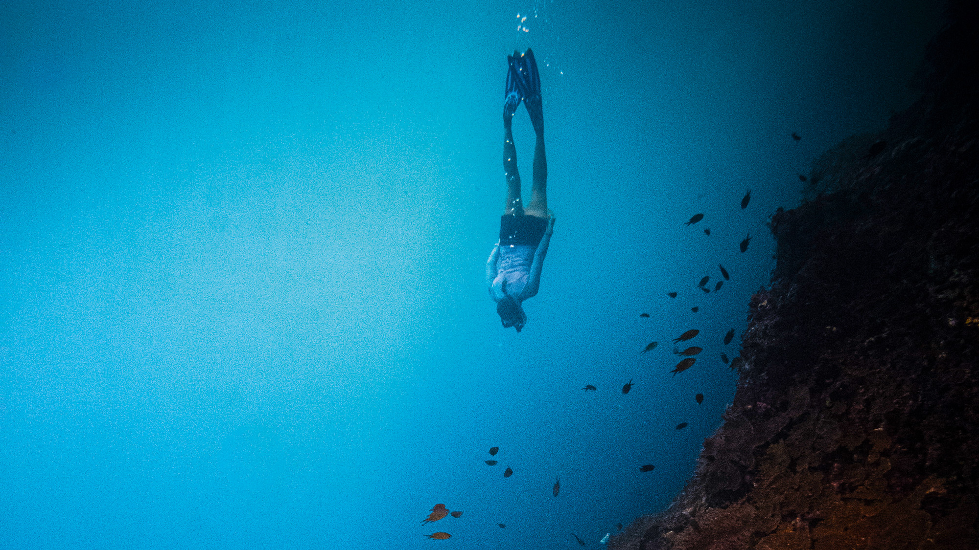 The land of four kings: discovering Indonesia by yacht - Yachting World