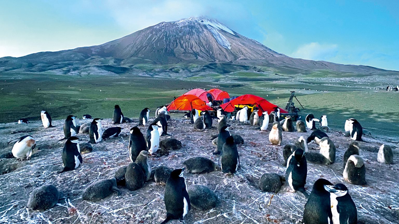 What’s it like to sail to the most remote of the South Sandwich Islands ...