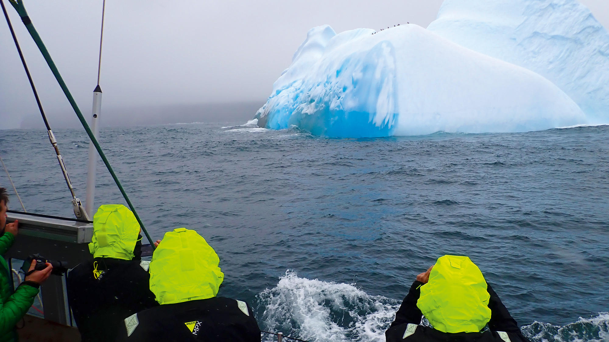 What’s it like to sail to the most remote of the South Sandwich Islands ...
