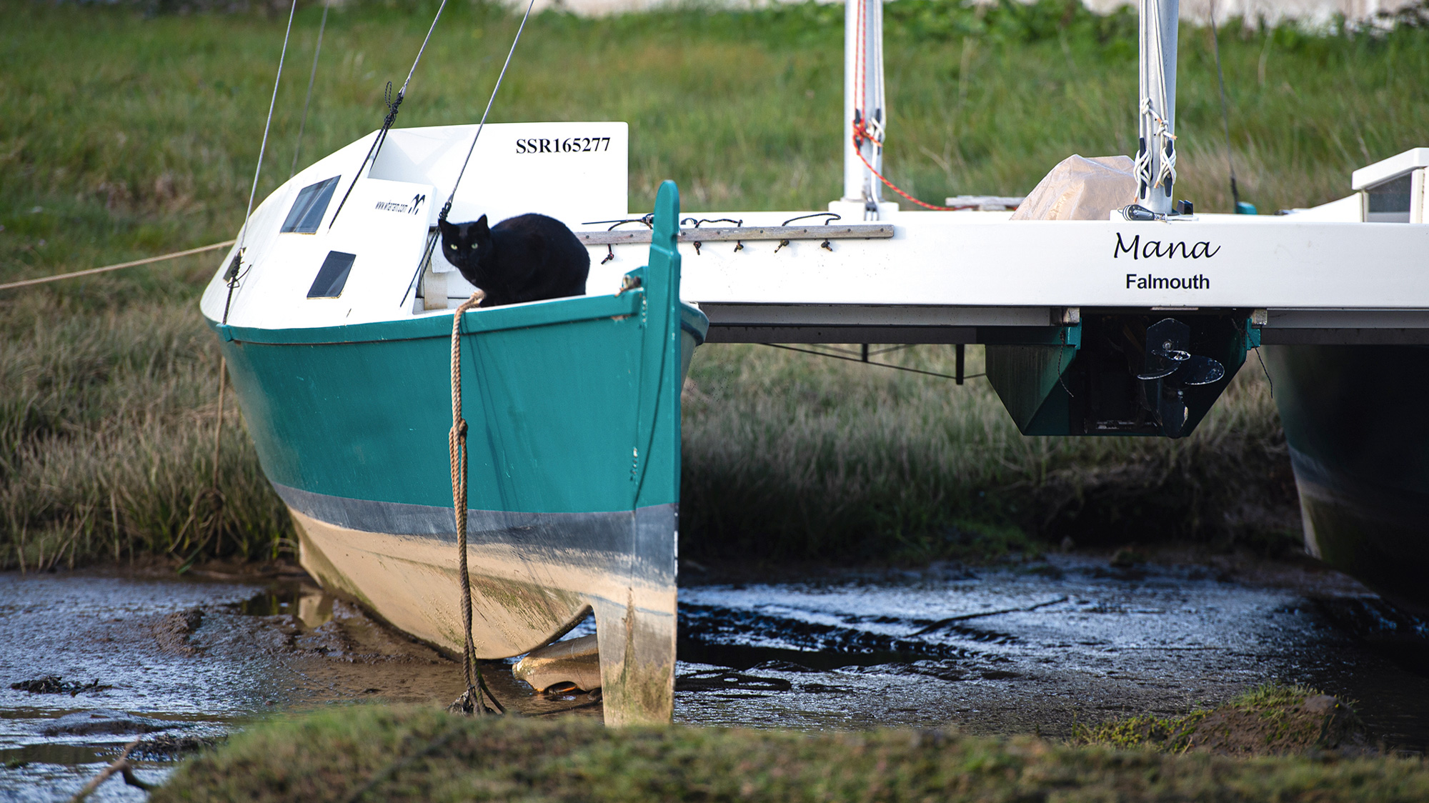 James Wharram: life and legacy of the iconic designer - Yachting World