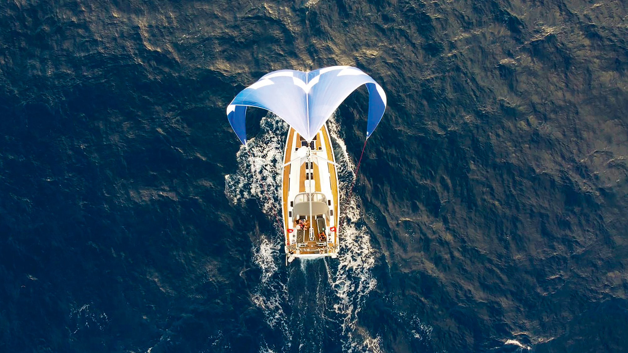 The best downwind sails: Options explained by over 200 experienced sailors