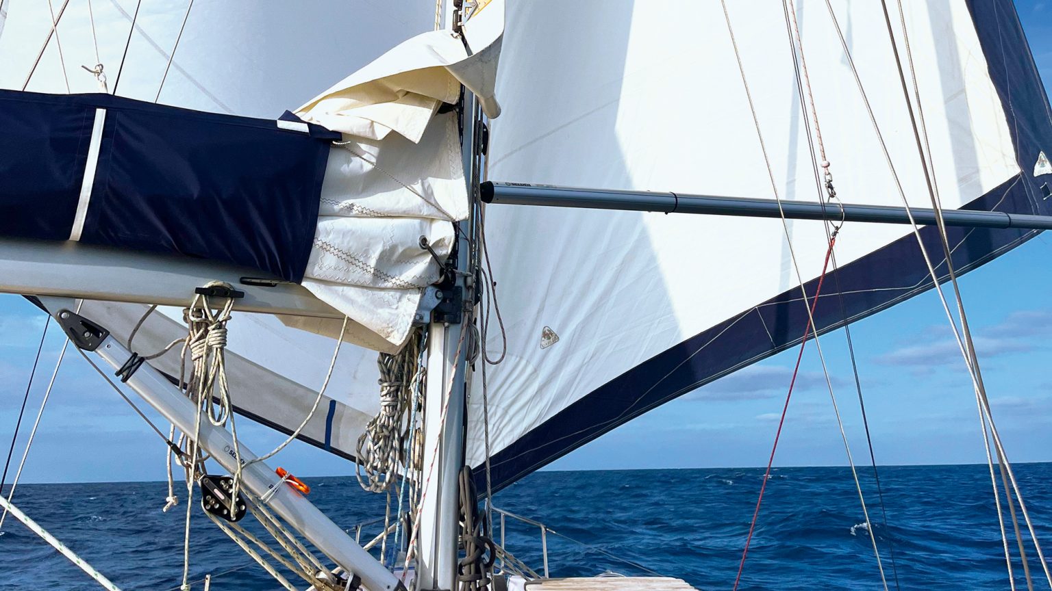The best downwind sails: Options explained by over 200 experienced sailors