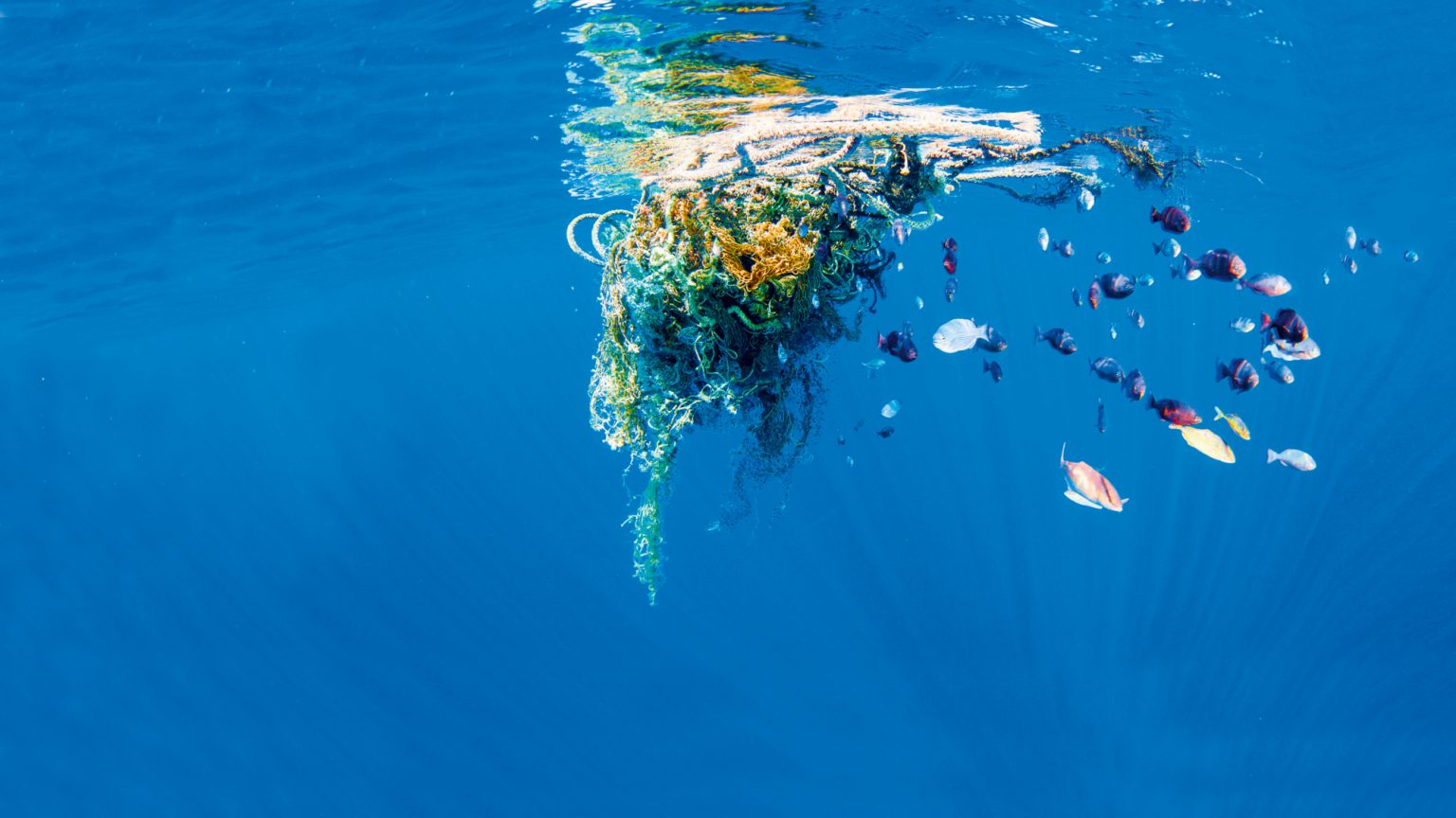 Ambition and acrimony: Inside the plans to clean up the Pacific Ocean's ...