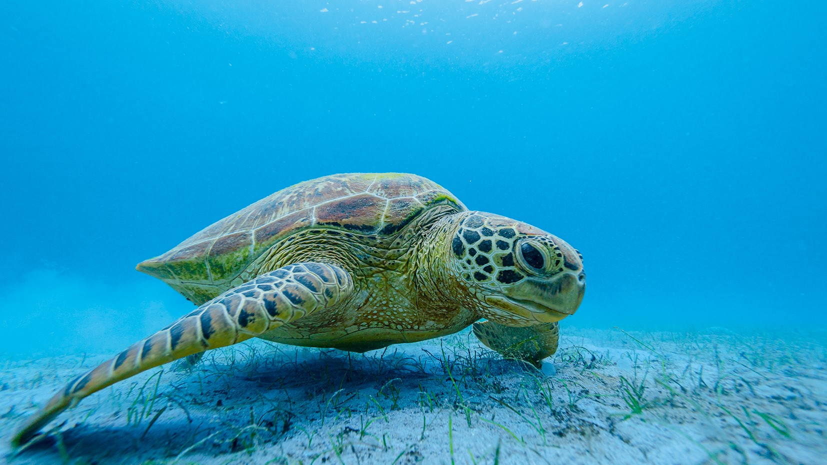 The sailing trip of a lifetime where the Australian Outback meets the ...