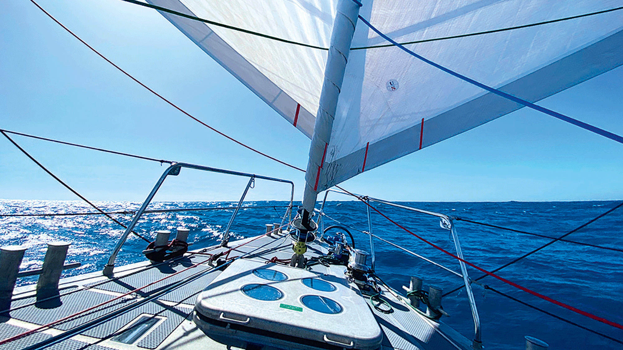 Skip Novak's sailing adventure to survey endangered albatross: ‘We ...