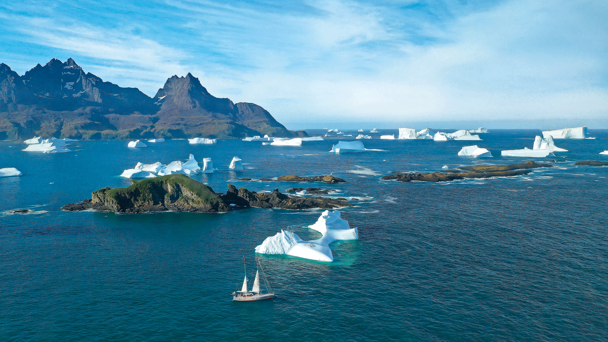 Skip Novak's sailing adventure to survey endangered albatross: ‘We ...