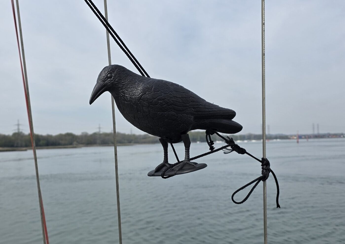 Best Bird Scarer test: I'm trying out every bird scarer on the market