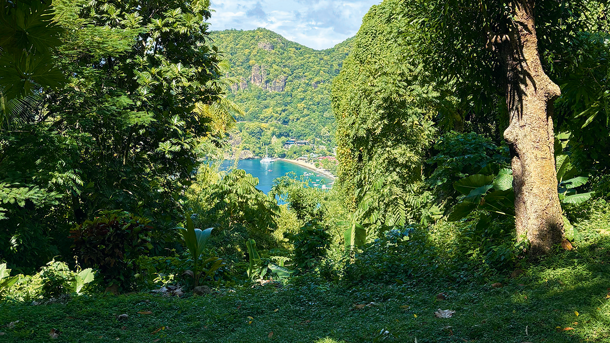 Saint Lucia: not just a transatlantic stopover - Yachting World
