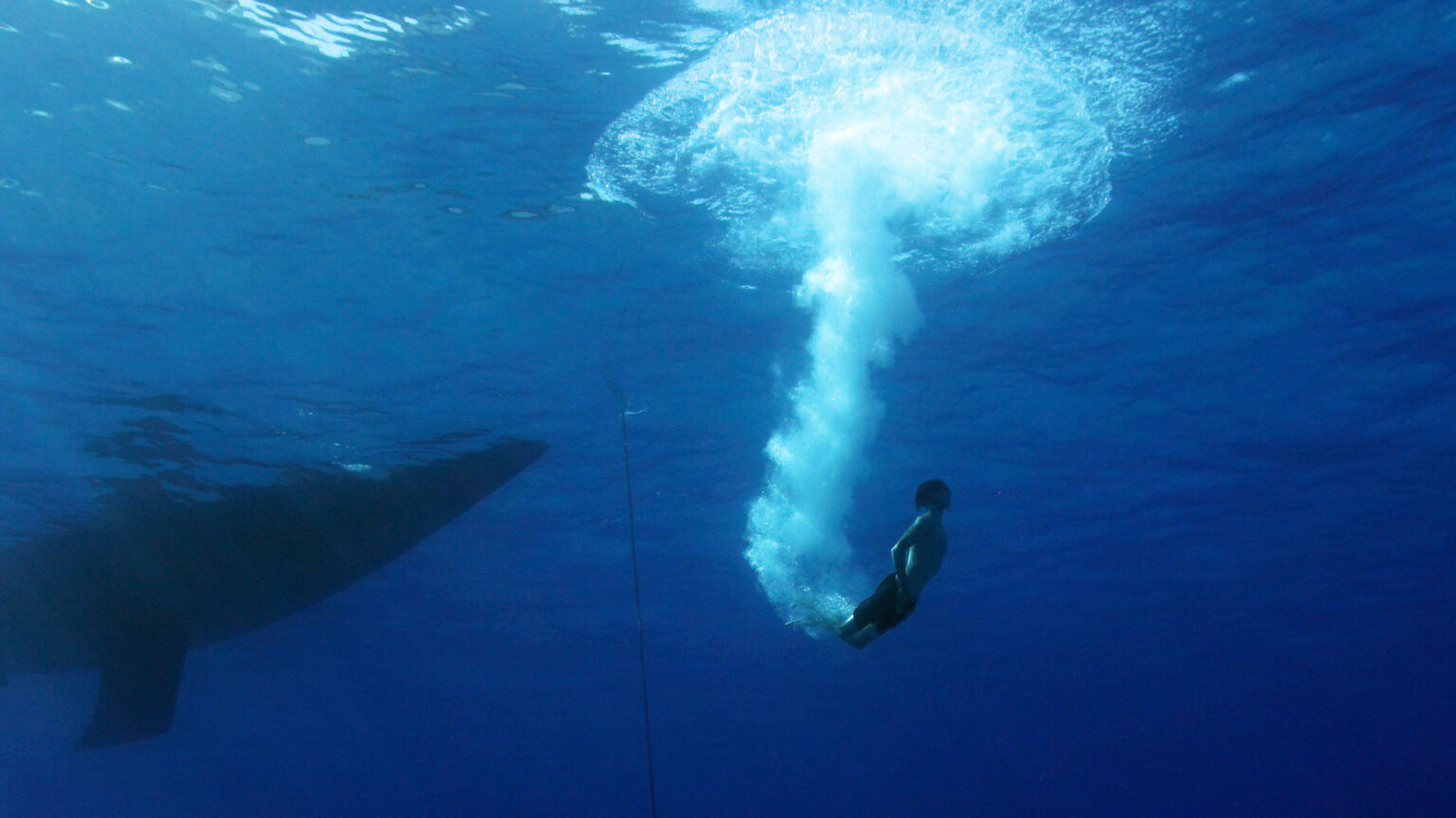 Below the surface: Why every sailor should learn to free dive and how ...