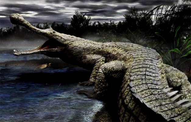 SARCO - the first motor yacht in the world inspired by a dinosaur - YBW