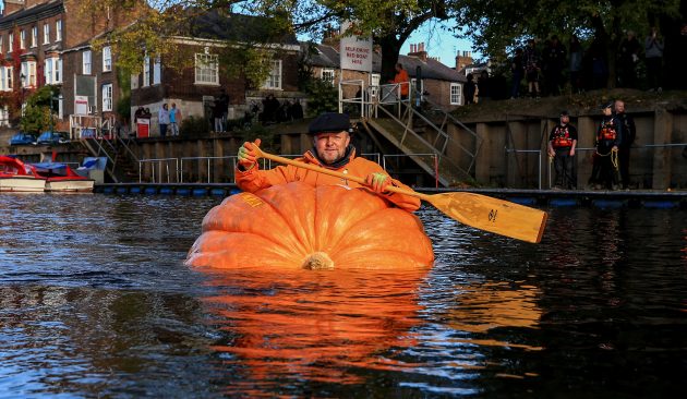Man attempts World Record for sailing largest pumpkin boat - YBW