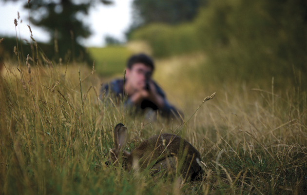 Rabbit shooting: Airgunning for summer rabbits - The Field