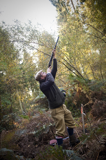 Shooting 100 bird days on some of the smartest shoots - The Field