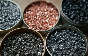 Airgun guide. What to shoot and what to buy. - The Field