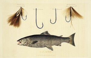 Classic salmon fly: the art and the history - The Field