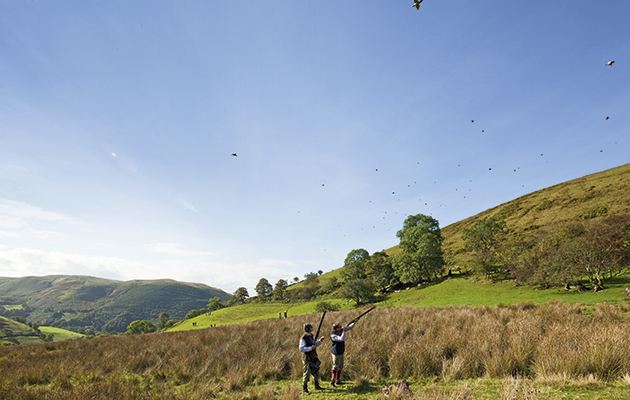 The 20 best pheasant shoots in Britain - The Field