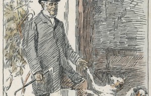 The Jack Russell Terrier: keep them mutts - The Field