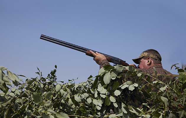 George Digweed's ultimate pigeon decoying guide - The Field