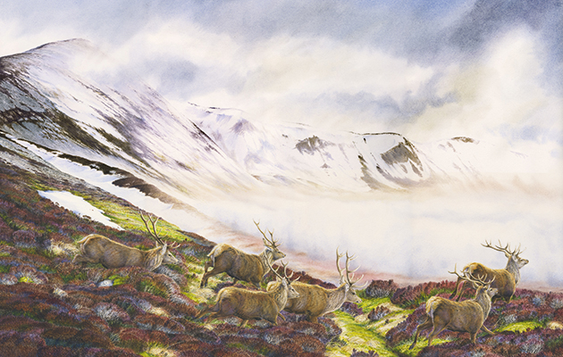 Colin Woolf, sporting artist - The Field