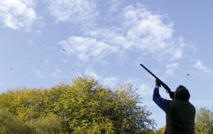 How to shoot high pheasants, advice from George Digweed