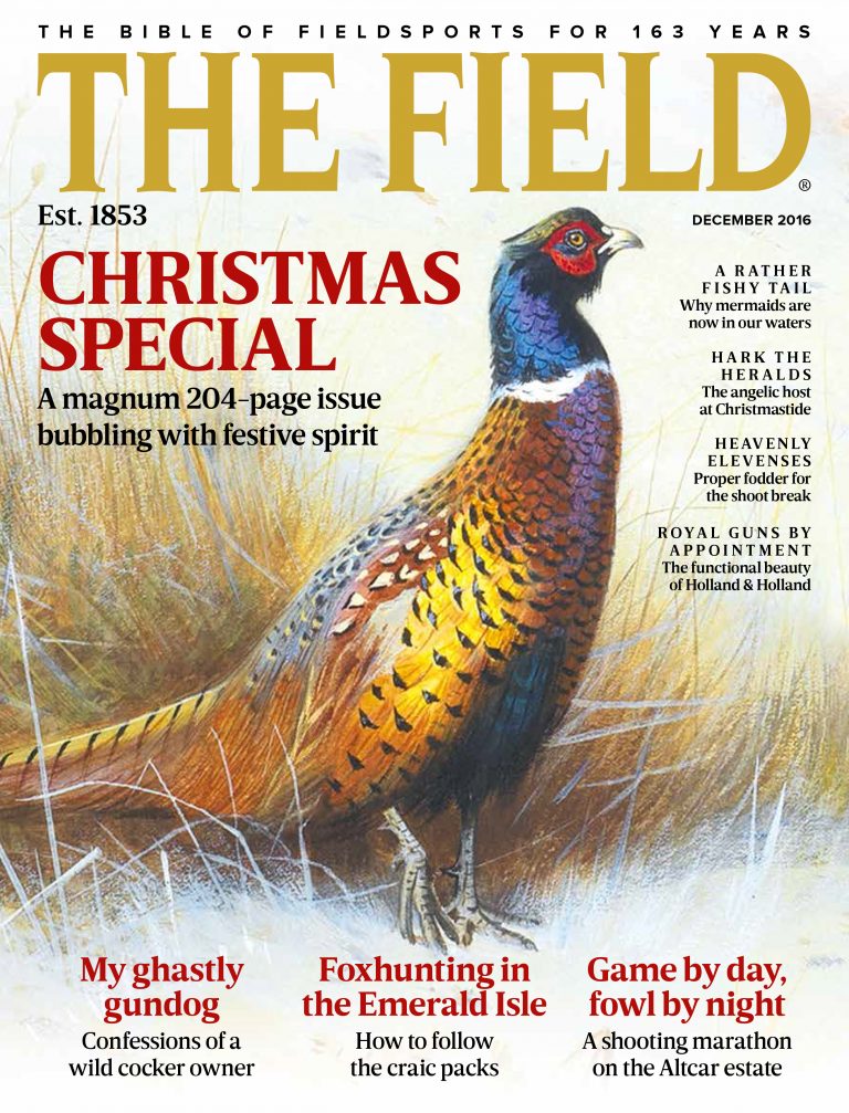 December issue - The Field