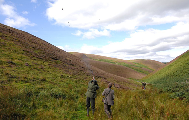 High bird shoot day at Bowmont Valley up for auction for charity - The ...