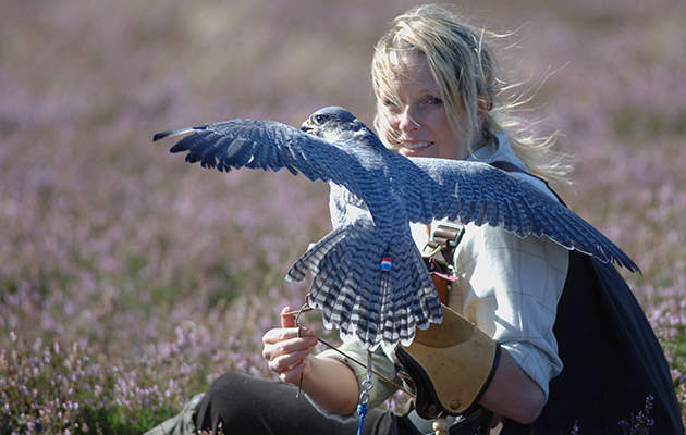 Sporting Dianas: Emma Ford - The Field