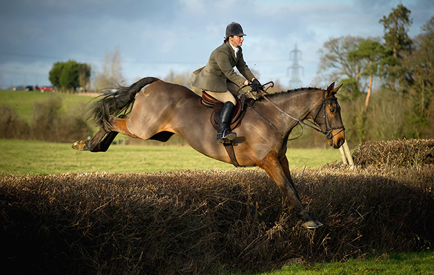 Sporting Dianas: Polly Portwin - The Field