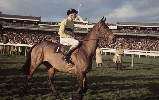 20 most famous horses: first past the post - The Field