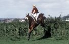 20 most famous horses - first past the post