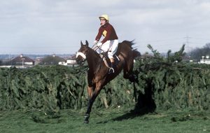 20 most famous horses - first past the post
