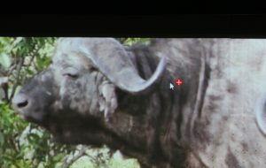 Indoor shooting practice: home, home on the indoor range - The Field