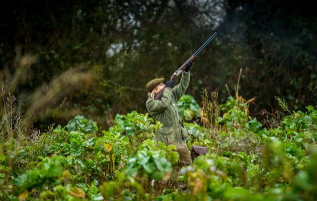 How to manage felt recoil while shooting - The Field