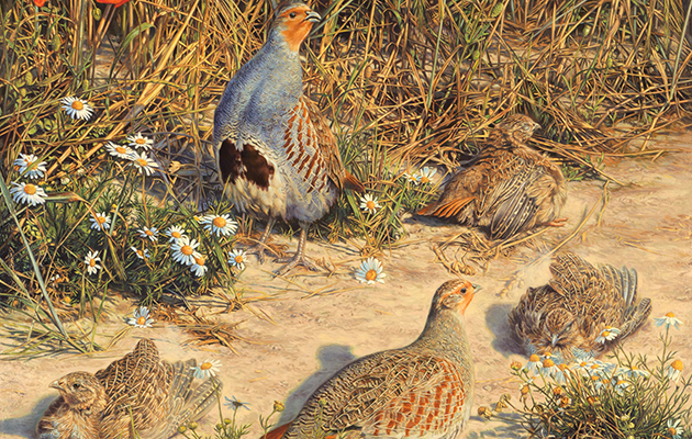 Jonathan Pointer, sporting artist - The Field