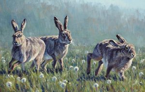 Hare mythology - hares in folklore, hare symbolism and boxing hares