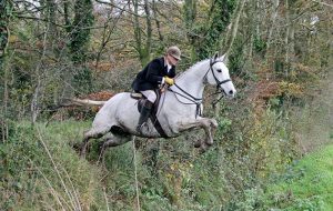 The Field's guide to hunting in Ireland - The Field