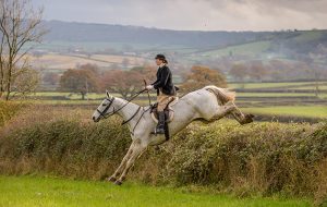 The Field's guide to the next hunting season - The Field