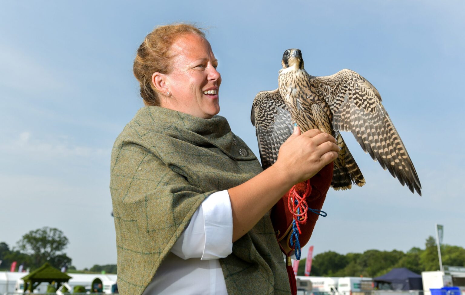 Falconry: a most ancient and noble art still popular today