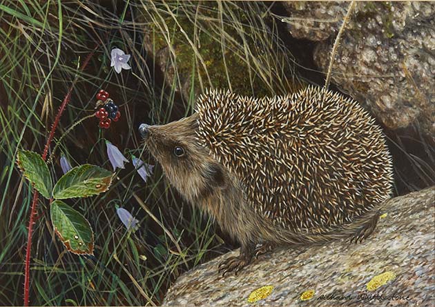 Sporting Artist: Richard Whittlestone - The Field