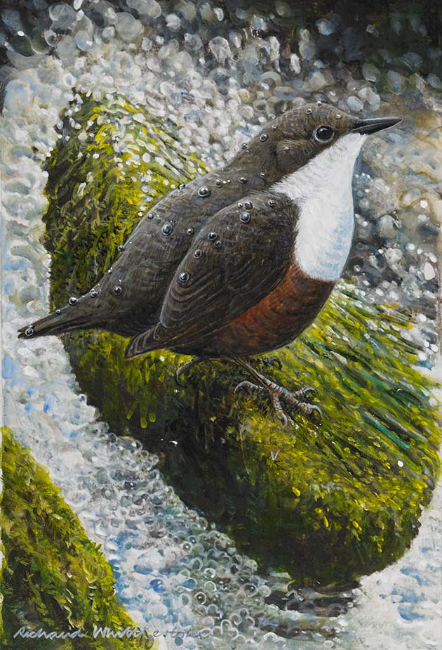 Sporting Artist: Richard Whittlestone - The Field