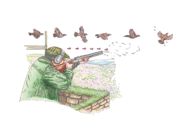 Traditional roast grouse recipe - The Field