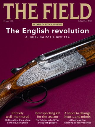 October 2022 - The Field