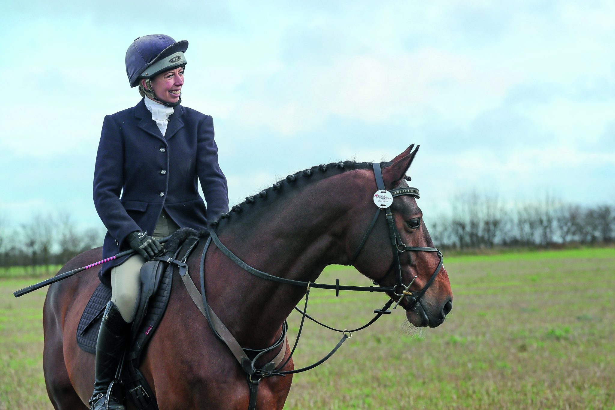 Hunting Stallions - The Field